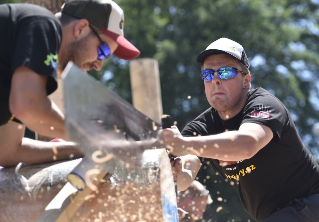 Mezinárodní závod dřevorubců vyhrál Švýcar David Birrer | Týden.cz